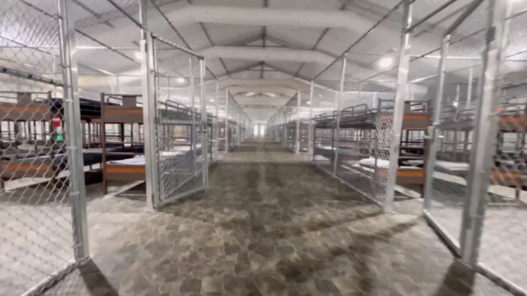 FIRST LOOK Inside “Alligator Alcatraz” — Built In EIGHT Days ...